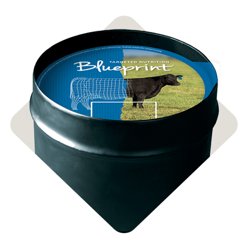 Cattle Feed Supplements: Protein Tubs and Blocks | Helping You Grow