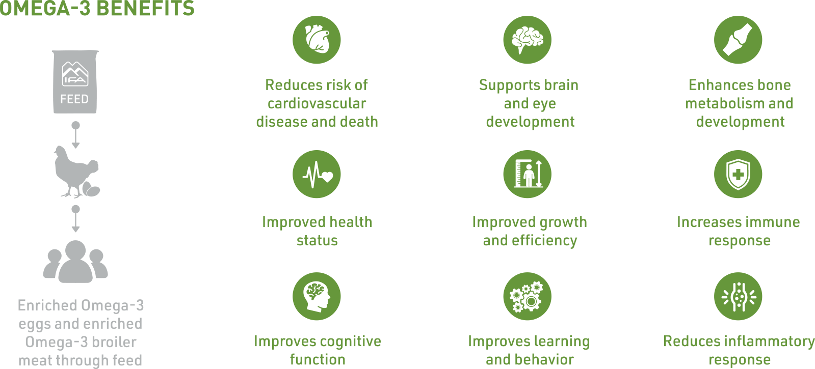 What to Feed Chickens? | IFA's Helping to Grow Blog