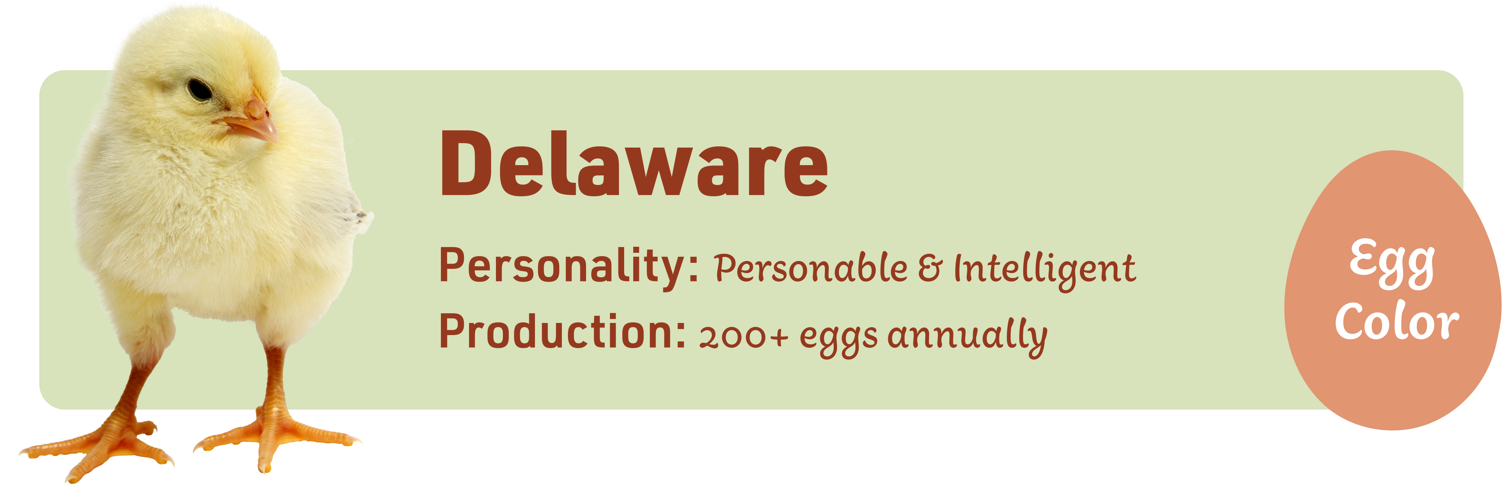 12 Most Popular Backyard Chicken Breeds | IFA's Helping to Grow Blog