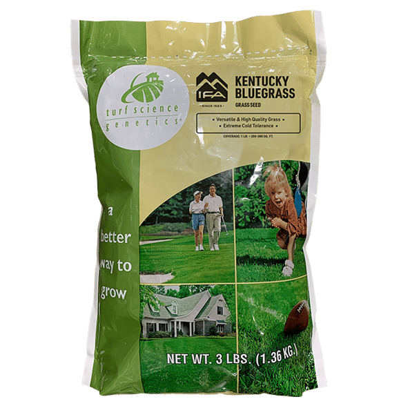 Overseeding Your Lawn, A Guide for Utah Grasses | IFA Blog