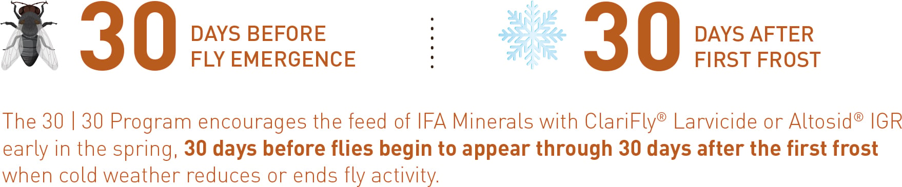 30 l 30 Feed-Through Fly Control with IFA ICBM Mineral | IFA's Blog