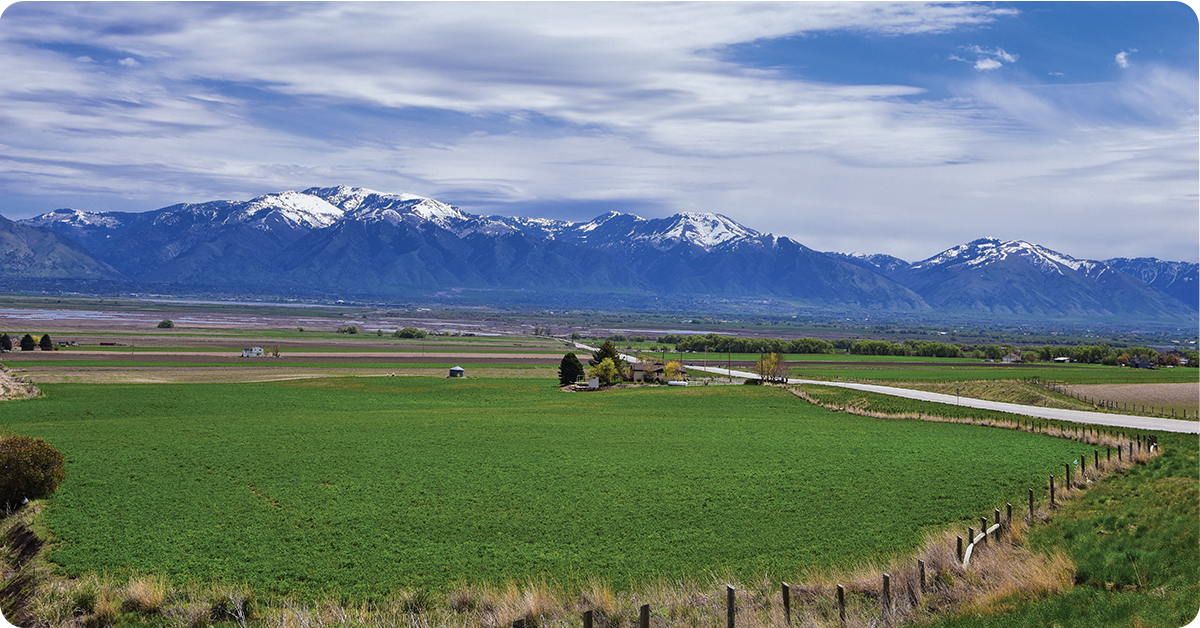 Finding the Right Ideas and Products for your Operation | IFA's Blog