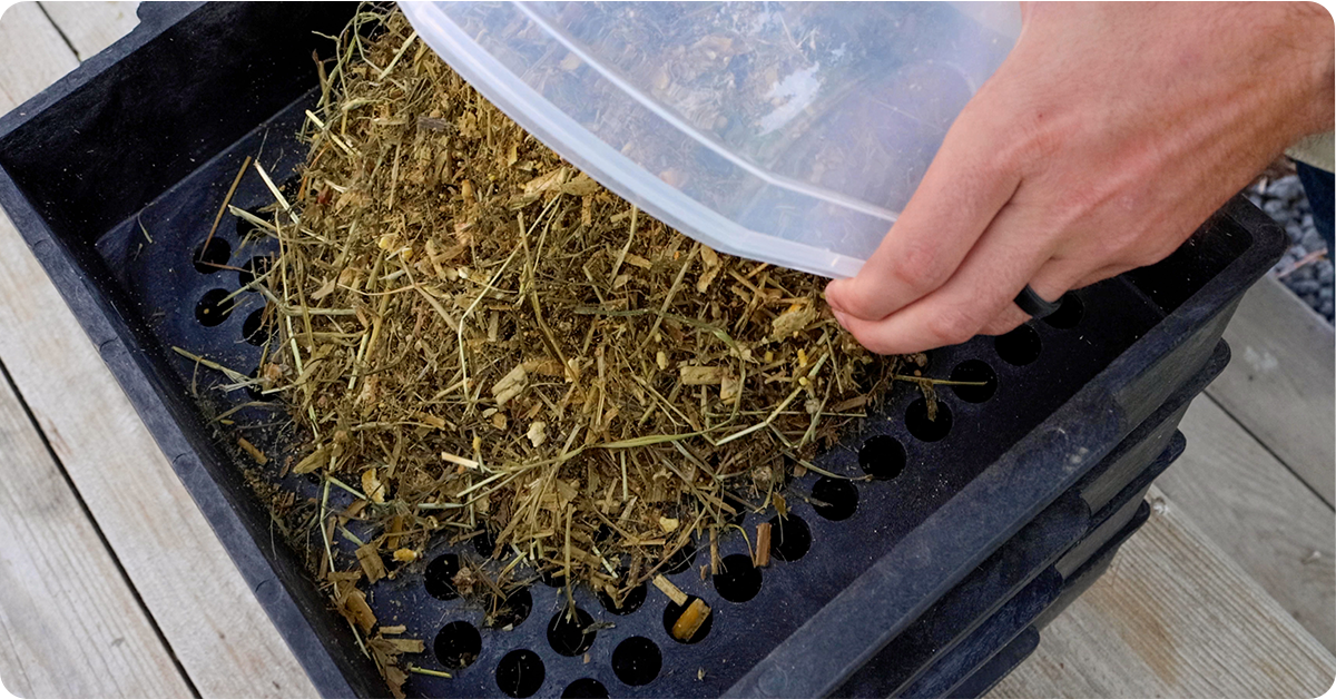 TMR Mixes for Dairy Cow Farm Feed | IFA’s Helping To Grow Blog