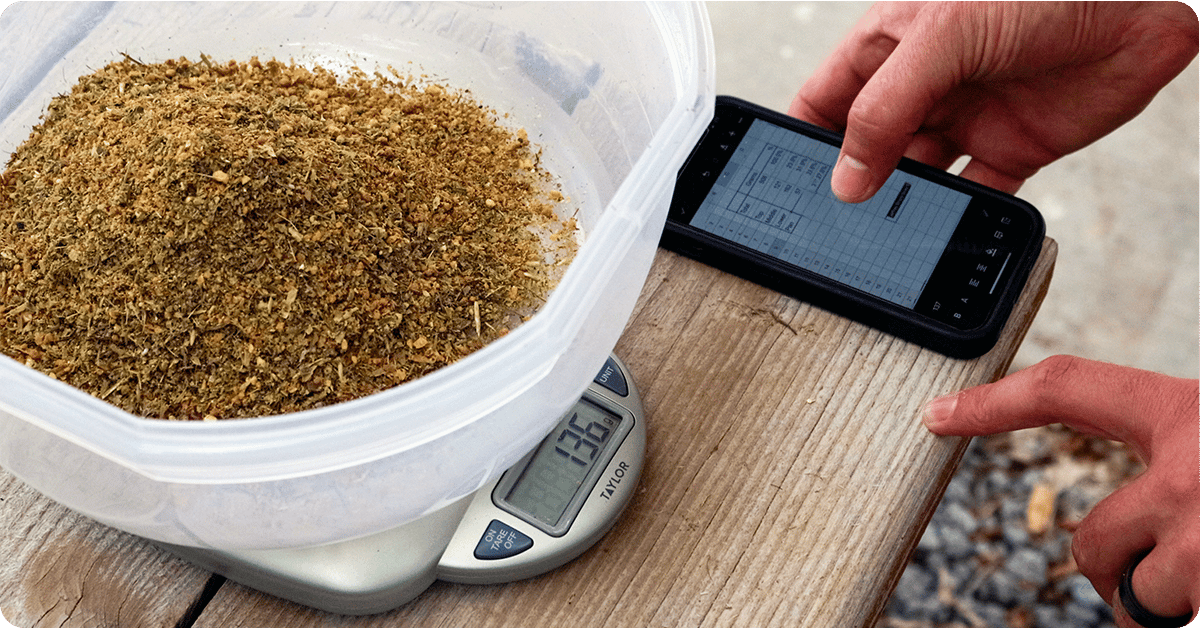 TMR Mixes for Dairy Cow Farm Feed | IFA’s Helping To Grow Blog