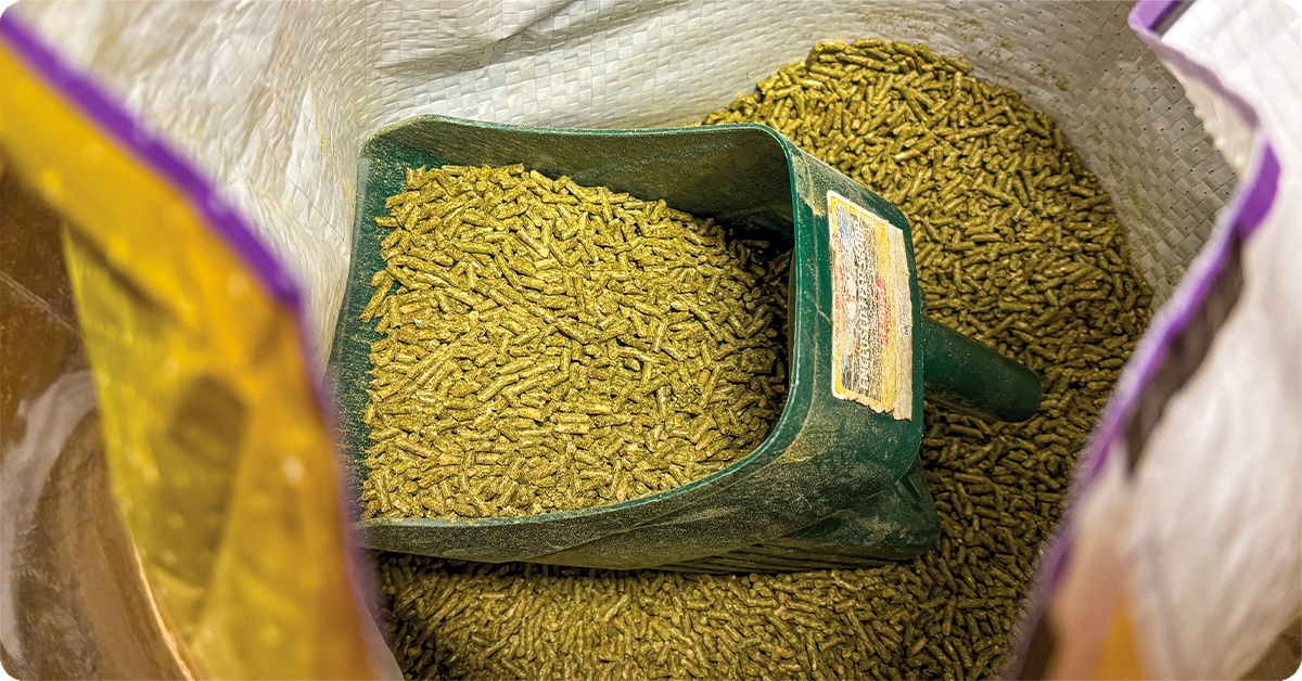 Animal Feed Labels | Helping Your Grow