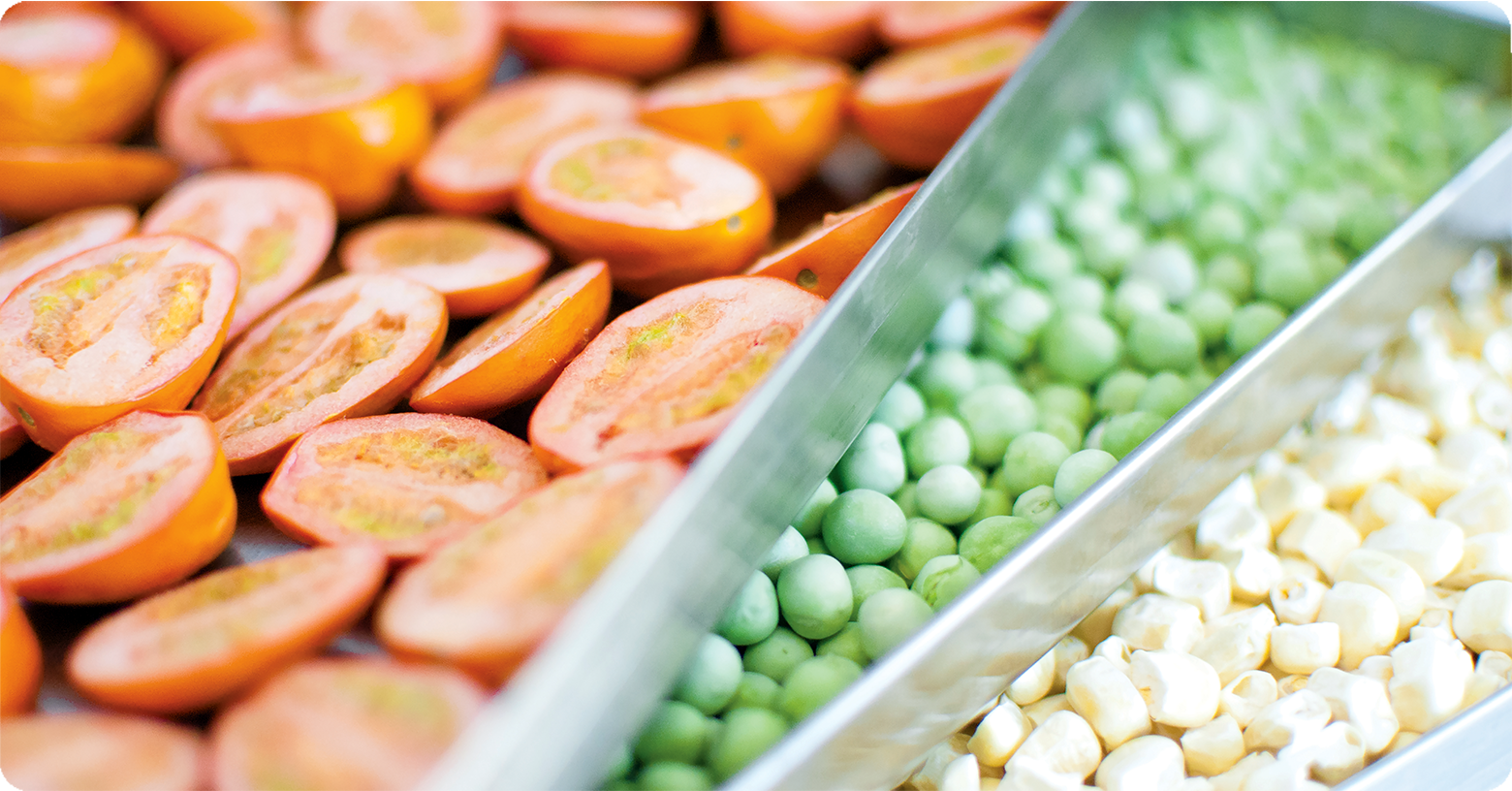 Long-Term Food Preservations Methods | Helping To Grow Blog