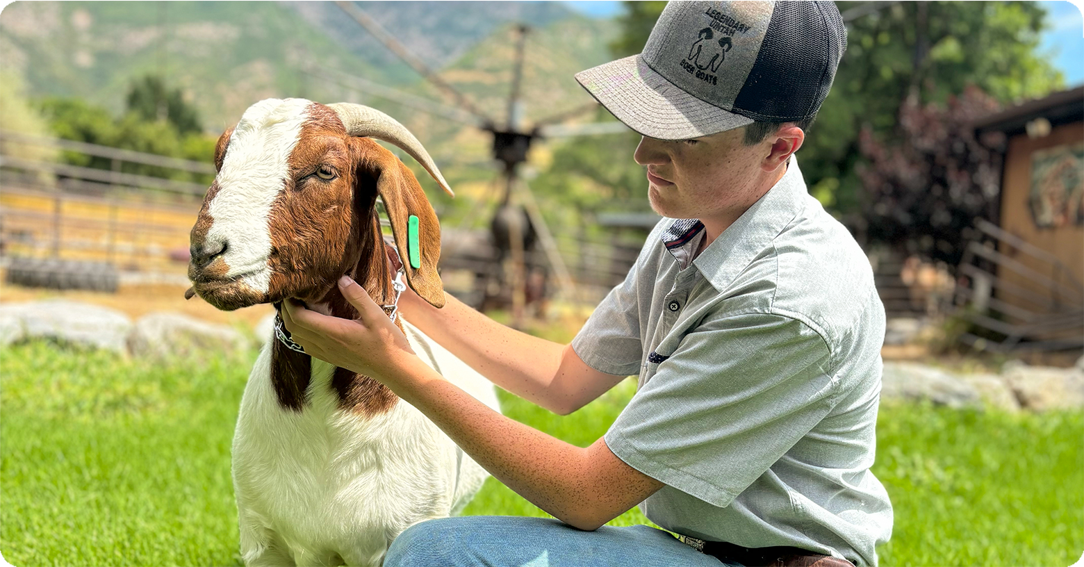 Young Producer: Legendary Uintah Boer Goats | Helping to Grow Blog