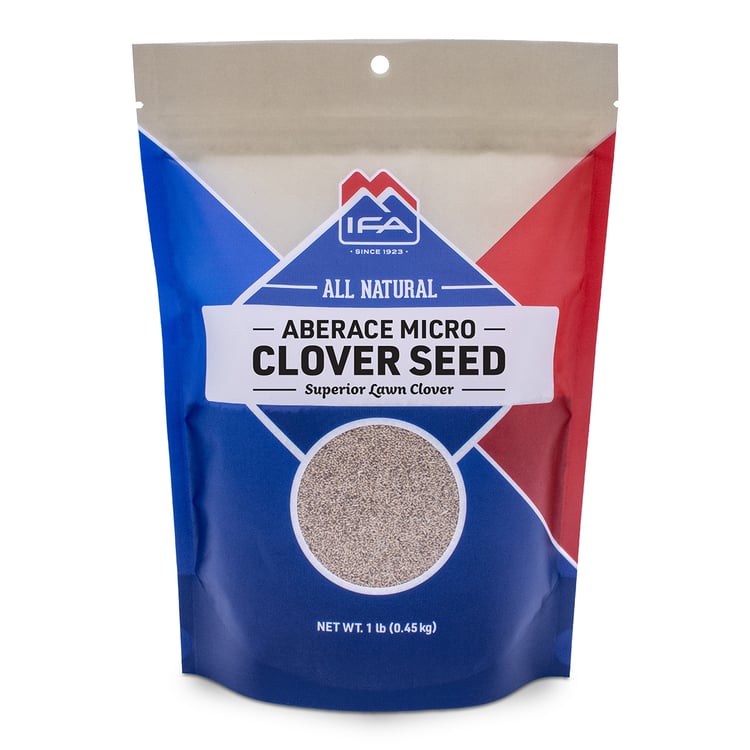 Clover Seed for Lawns | Helping to Grow