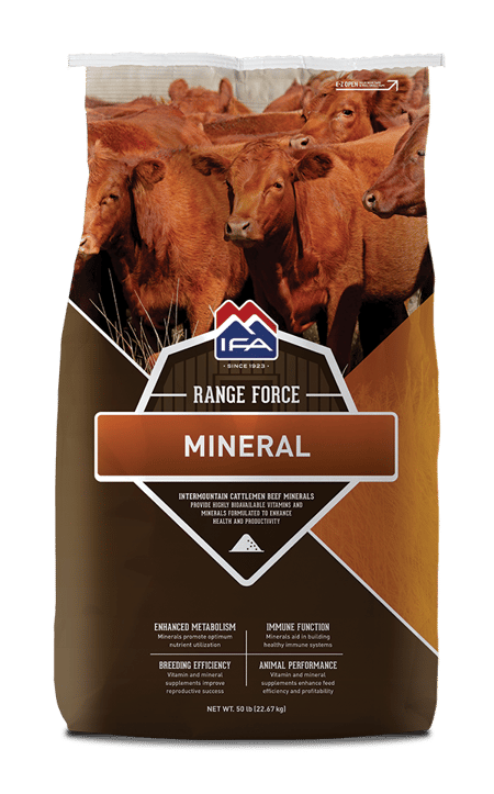 Improving Livestock Production With Cattle Mineral | IFA's Blog