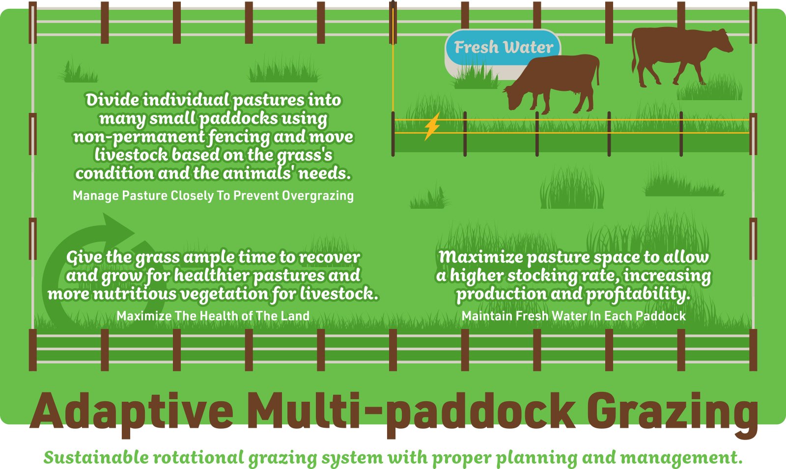 Rotational Grazing For Livestock | IFA’s Helping To Grow Blog