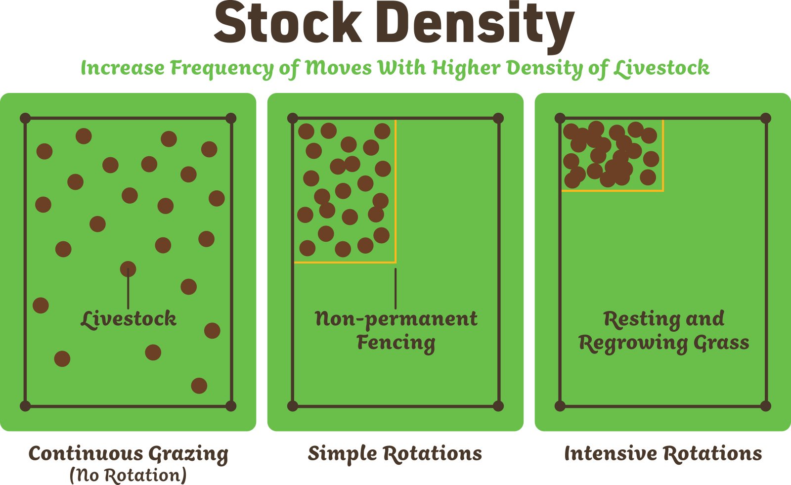 Rotational Grazing For Livestock | IFA’s Helping To Grow Blog