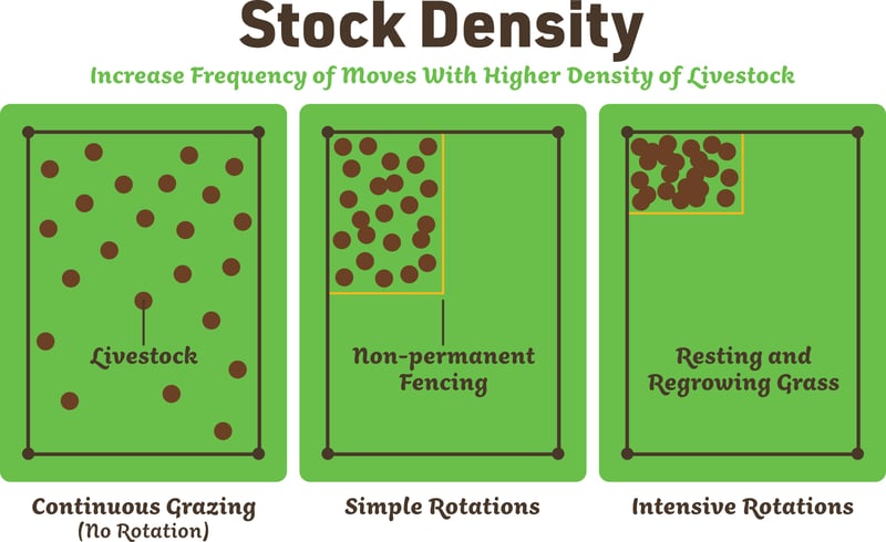 Rotational Grazing For Livestock | IFA’s Helping To Grow Blog