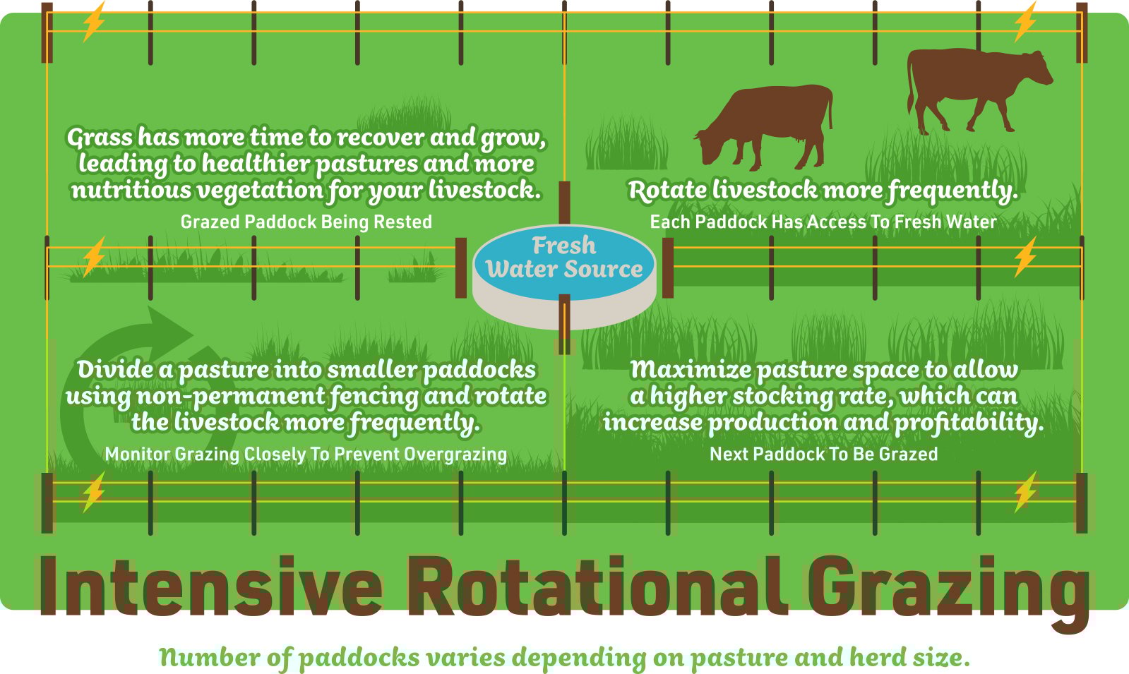 Rotational Grazing For Livestock | IFA’s Helping To Grow Blog