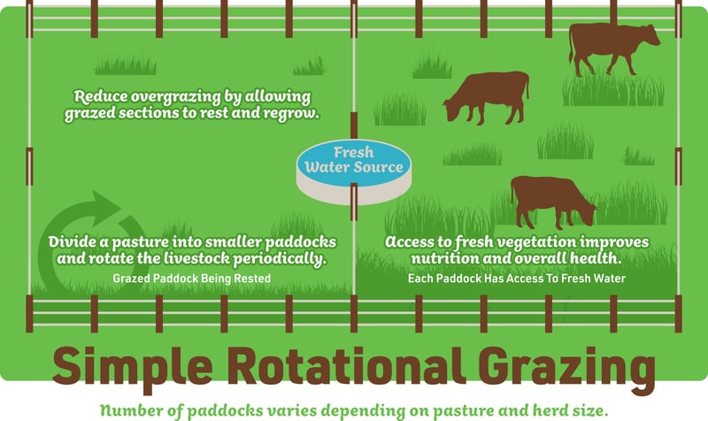Rotational Grazing For Livestock | IFA’s Helping To Grow Blog