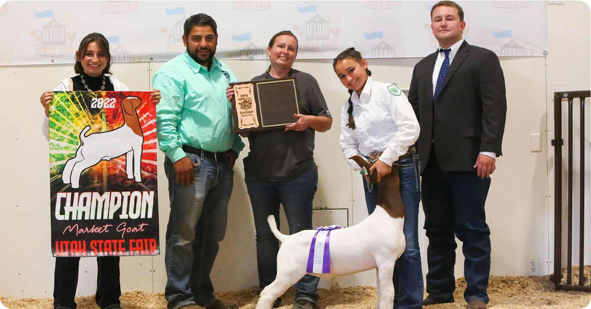 IFA Contributes to Local Communities | IFA's Helping to Grow Blog