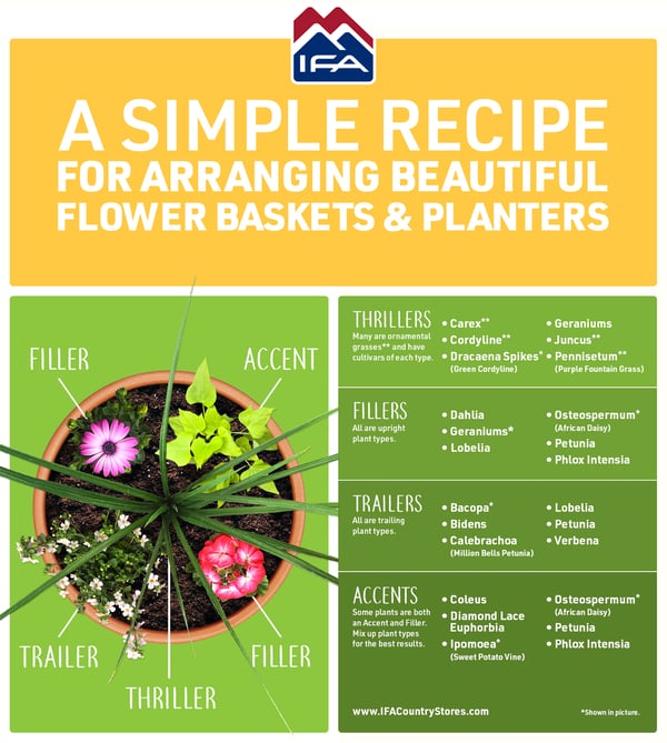 How to Arrange Beautiful Potted Flowers & Flower Baskets | IFA's Blog