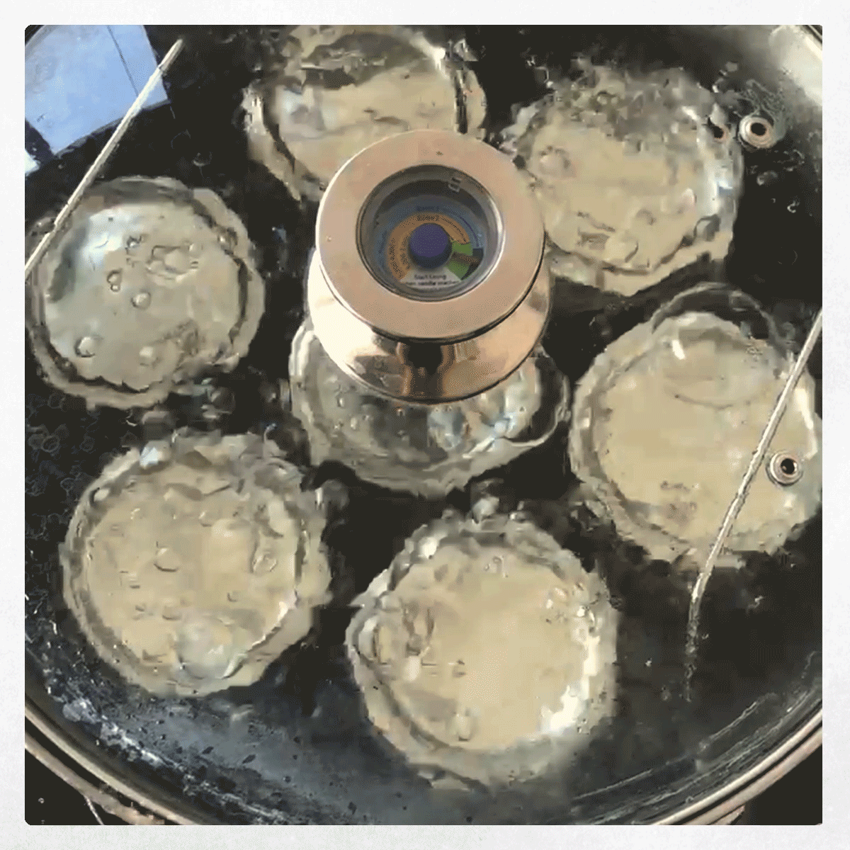 Canning Guide: Tips and Recipe Links | IFA's Helping to Grow Blog