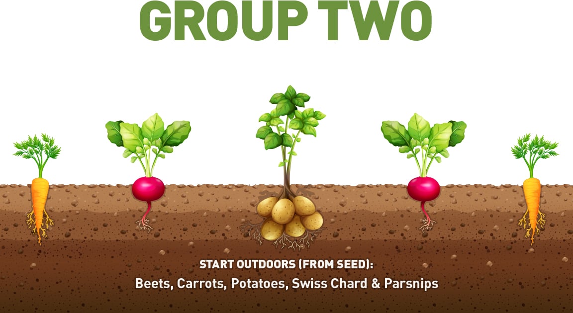 Early Spring Gardening: What to Plant and When | IFA's Blog