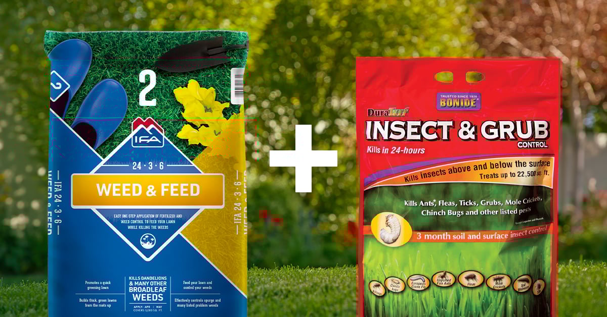 Weed & Feed Lawn Fertilizer: Step 2 to a Healthy Lawn | IFA's Blog