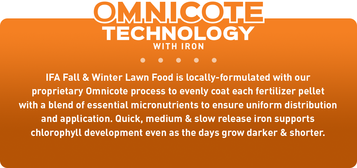 Fall & Winter Lawn Fertilizer: Step 4 to a Healthy Lawn | IFA's Blog