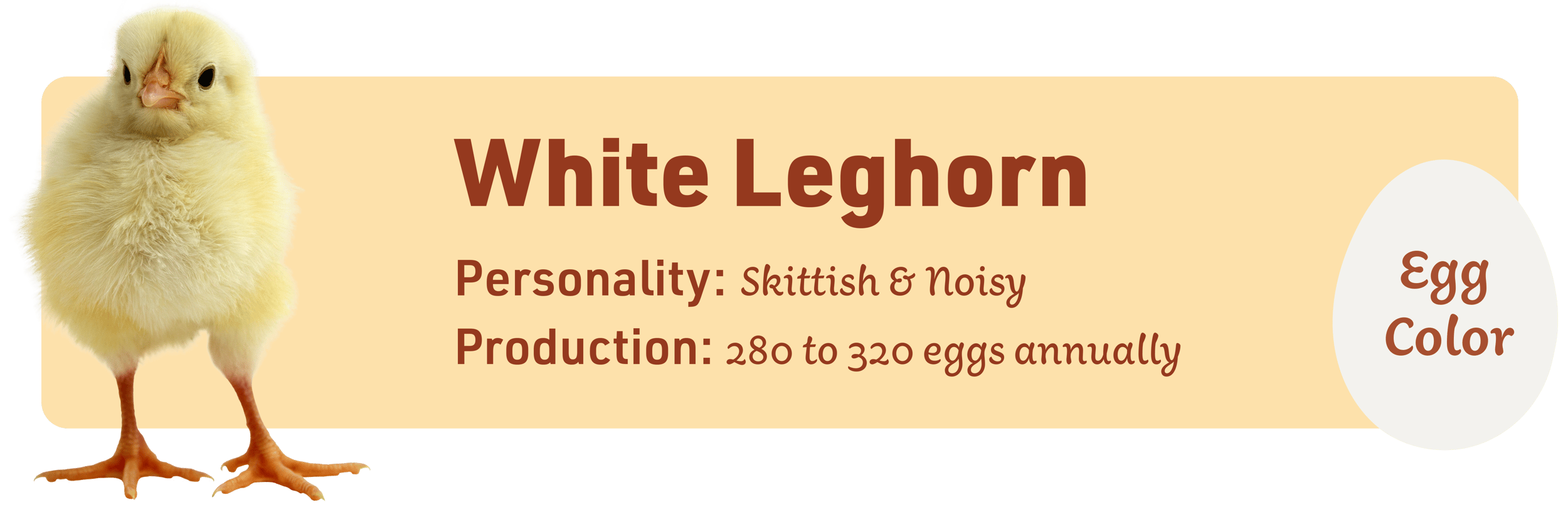 12 Most Popular Backyard Chicken Breeds | IFA's Helping to Grow Blog