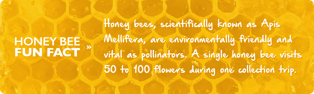 Monthly Beekeeping Guide: Beehive Activity and To-Dos | IFA's Blog