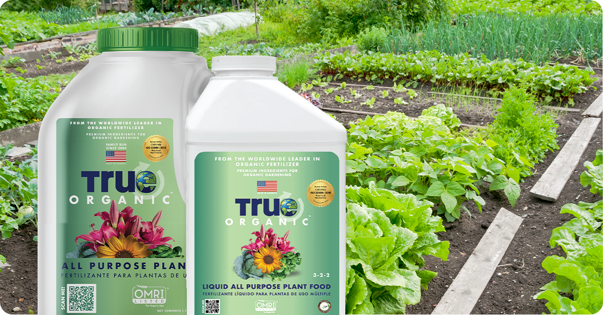 An Urban Gardener’s Guide to Finding the Best Organic Fertilizer | IFA ...