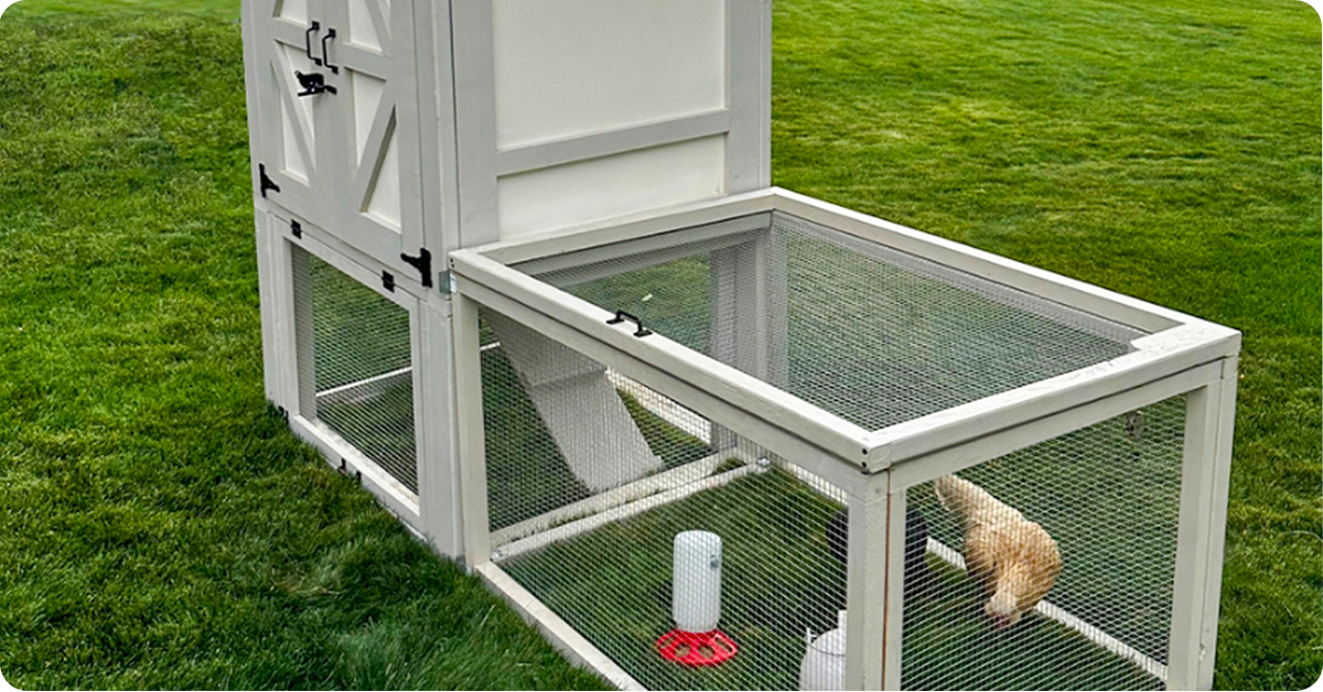 The Hen House: IFA’s Ultimate Guide to Chicken Coops | IFA's Blog
