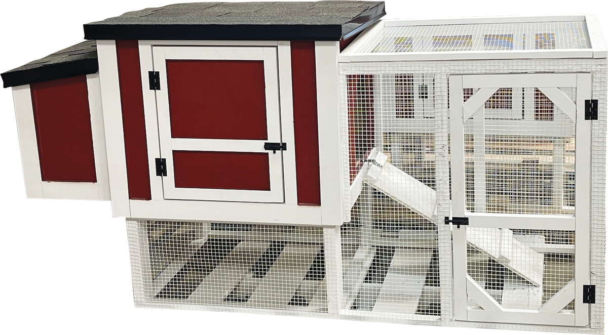 The Hen House: IFA’s Ultimate Guide to Chicken Coops | IFA's Blog