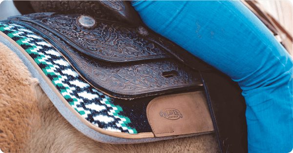 Saddle Fitting for Western Saddles | IFA's Helping to Grow Blog