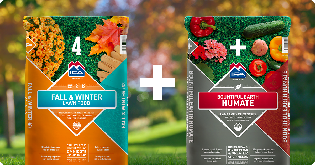 Fall & Winter Lawn Fertilizer: Step 4 to a Healthy Lawn | IFA's Blog