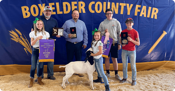 IFA Platinum Show Power Feeds | IFA's Blog