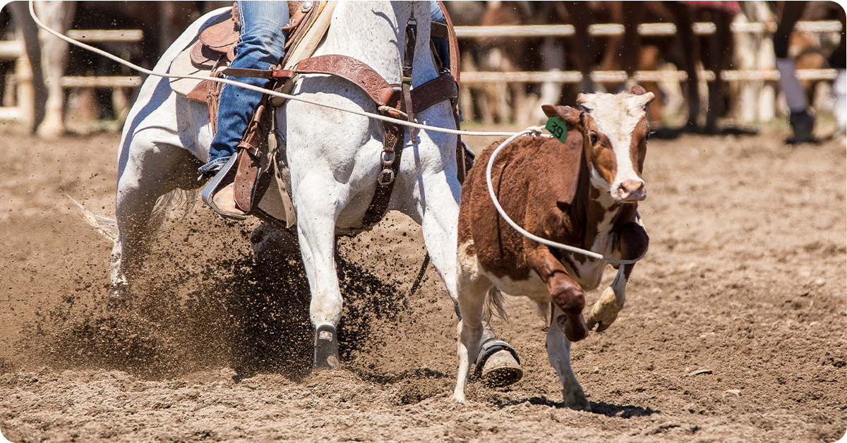 Selecting the Right Rodeo and Ranch Rope | IFA's Helping to Grow Blog