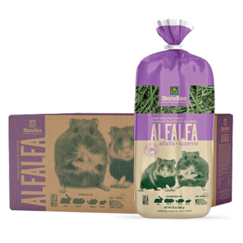 How To Choose The Best Rabbit Feed | IFA's Helping To Grow Blog