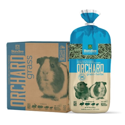 How To Choose The Best Rabbit Feed | IFA's Helping To Grow Blog